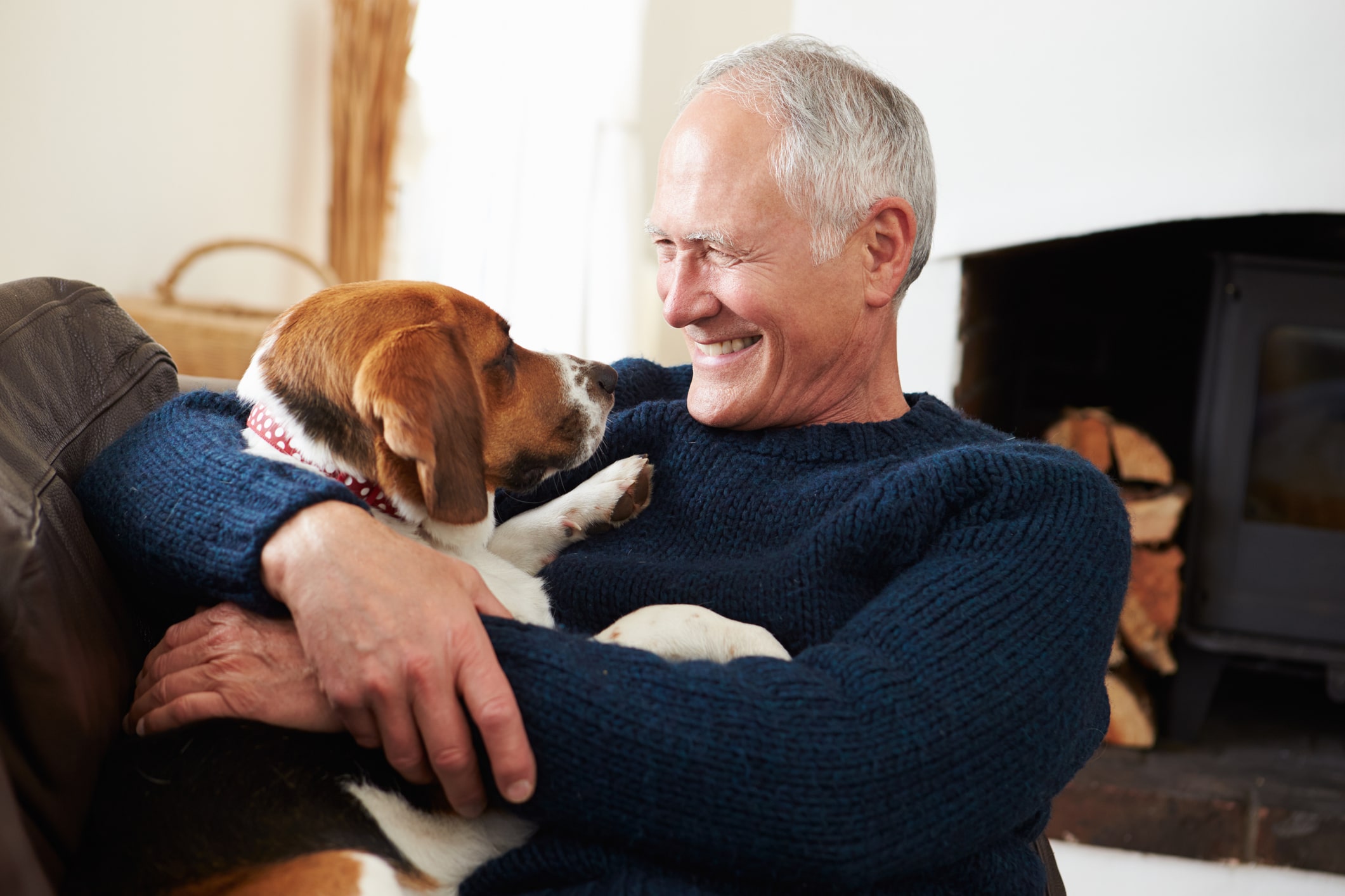 people and pet – App protecting you and your pet’s welfare.